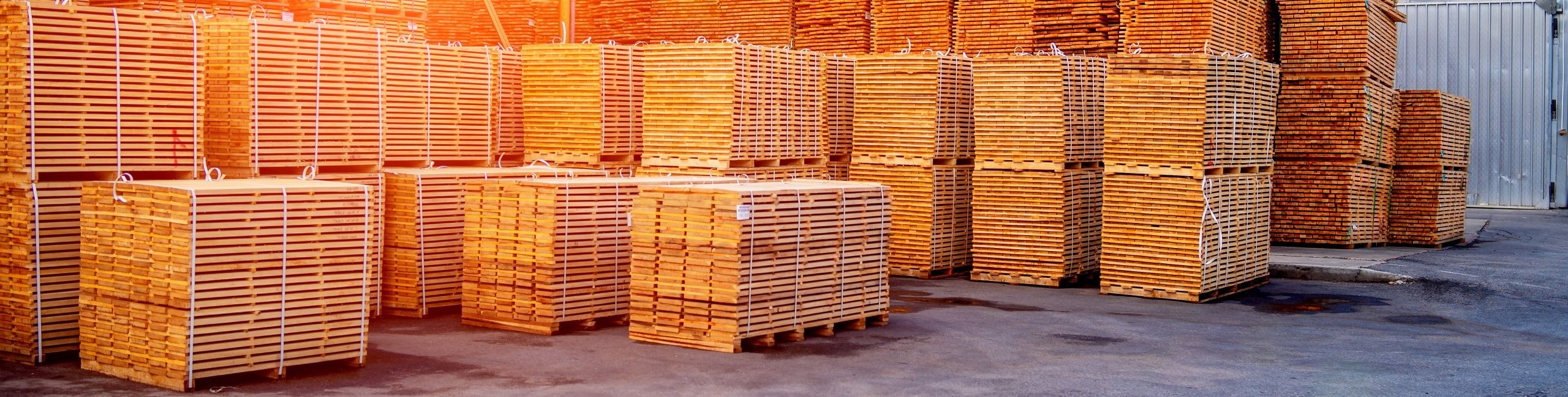 Choosing a Logistics Partner for Pallet Shipping: The B2B Guide